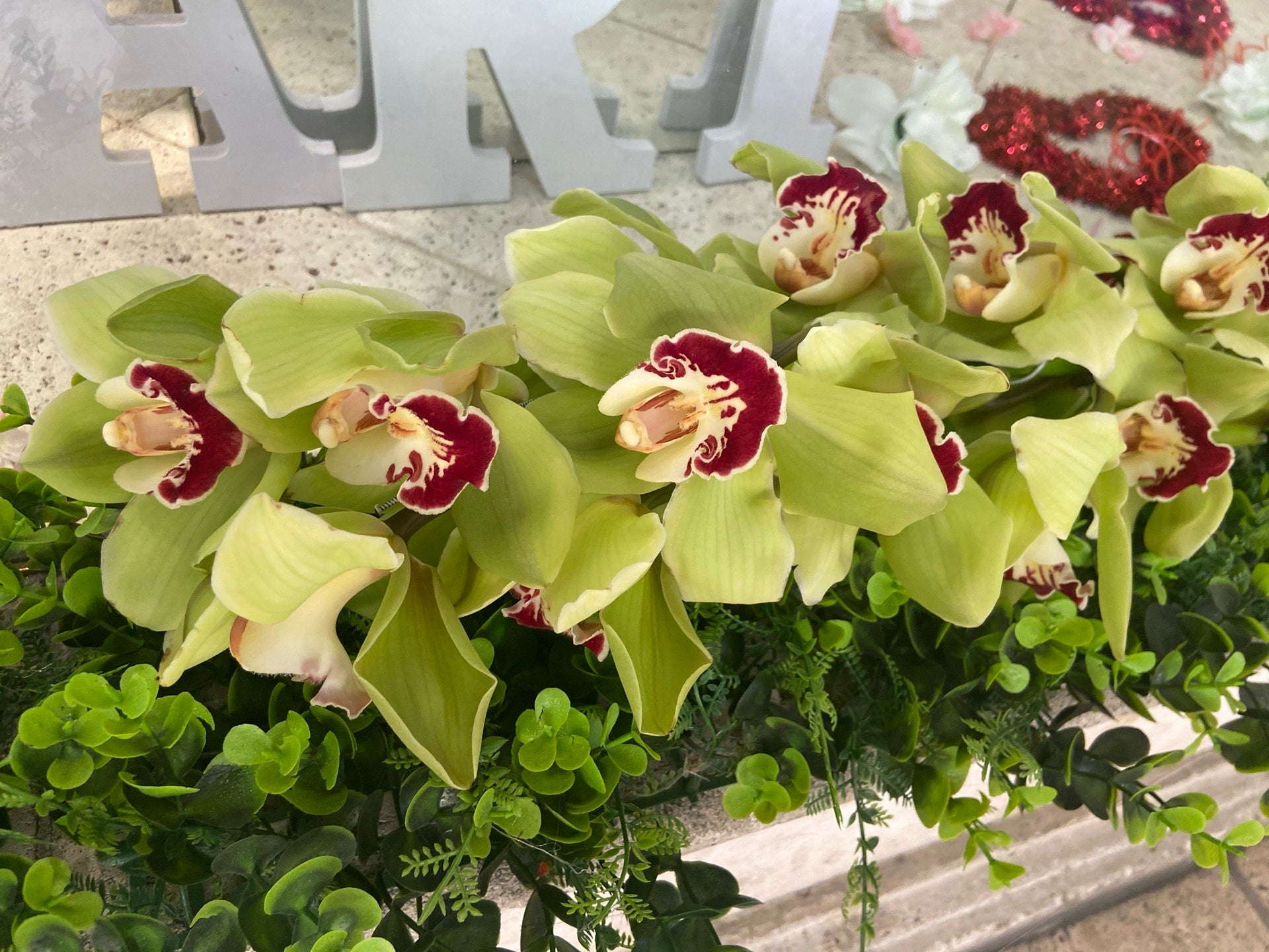 The Blonde Tulip | Local Miami Floral Design & Delivery